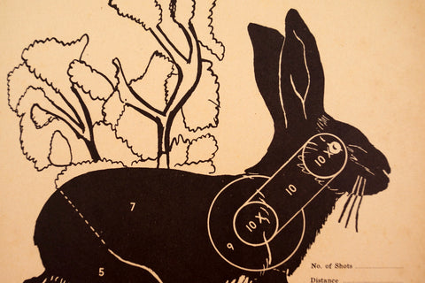 Vintage Winchester Jack Rabbit Shooting Target, 12 x 9 inches (c.1950s ...