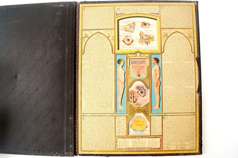 Vintage "Bodyscope" Illustrated Anatomical Book with Dials (c.1935 ...