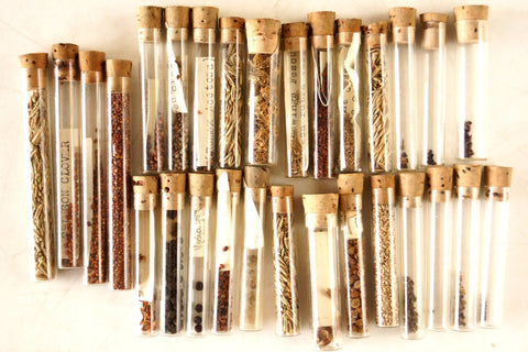 Vintage / Antique Heirloom Garden Seeds in Glass Vials, Set of 5 (c.19 ...