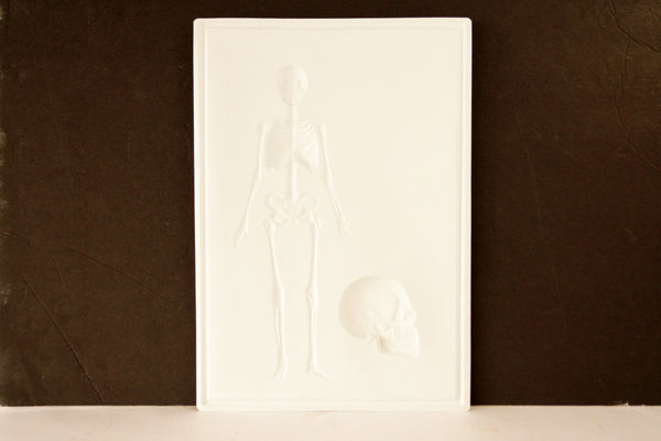 Vintage 3D Human Body Chart, Skeletal System, Human Skeleton Anatomy ...